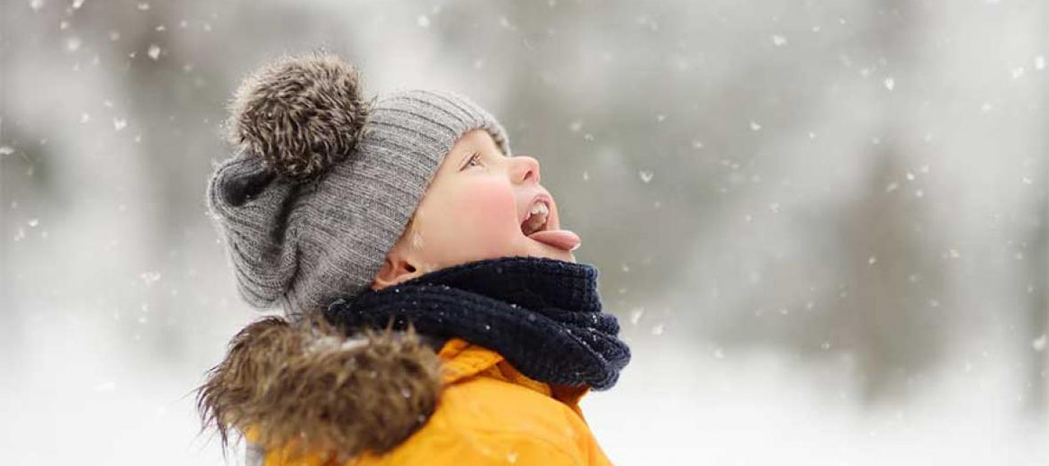 The Toggery – The Toggery